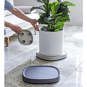 MYBAQ,Plant Caddy,Plant Caddy with Wheels,Plant Dolly,Rolling Plant Stand,Planter Mover, Round Plant Roller Base for Vertical Planting Troughs, Patio Umbrella Base, Plant Pots, Trash Cans.