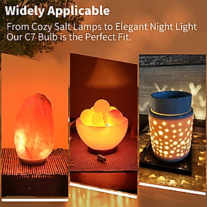 COLWATT 15-Pack Salt Lamp Bulbs, 15 Watt Light Bulb for Himalayan Salt Lamp Baskets, 120V C7 Small Night Light Bulbs, 2200K Warm White, Dimmable