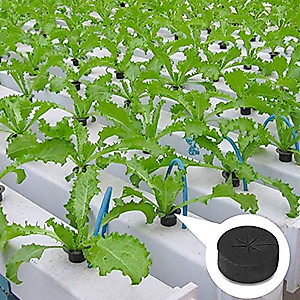Lainrrew 36 Pcs 2" Garden Clone Collars, Cloning Collars Insert Fits 2" Net Pot Cups for Hydroponics Clone Machines (Black)