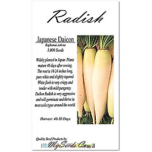 Big Pack - (3,000) Japanese Daikon - Daikon Radish Seeds - Japanese Radish - Non-GMO Seeds by MySeeds.Co (Big Pack - Daicon Radish)