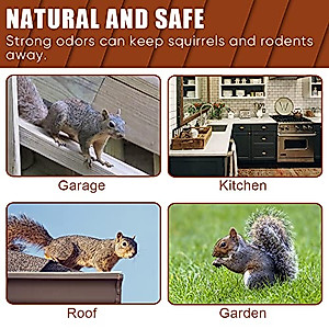 SEEKBIT 4 Pack Squirrel Repellent, Mice Rats Squirrel Deterrent Drive Away from Car Engines, Under Hood, Vehicle, Rodent Repellent for Garden, Yard, Outdoor, Attic Squirrels Off Plants Trees Garage