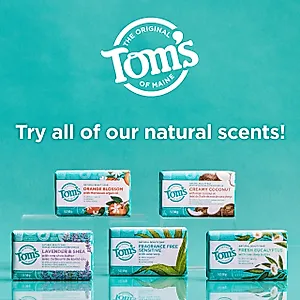 Tom's of Maine Natural Beauty Bar Soap for Sensitive Skin With Aloe Vera, Fragrance-Free, 5 oz. 6-Pack (Packaging May Vary)