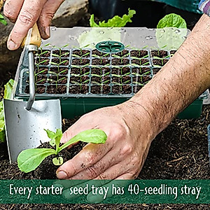 10 Pcs Seed Starter Tray 40 Cells Seed Starter Kit with Humidity Dome and Base Propagation Tray Plant Germination Greenhouse Mini Propagator Station for Seeds Growing, Total 400 Cells(Green,10 Pcs)