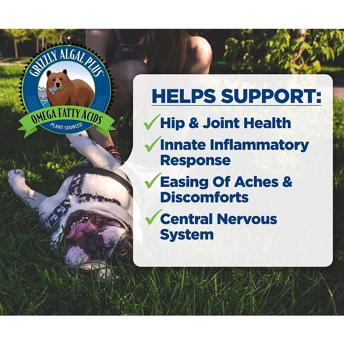 Grizzly Algal Plus Omega Fatty Acids Supplement for Dogs & Cats, 16 Fl Oz - Vegan, Plant-Sourced & Made in USA Algal Oil Omega 3-6-9, Healthy Skin & Coat