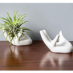 Dingq 2 Pack Air Plant Holder,Hand Shape Stand,Cute Levitating Plant Container,Pot Tillandsia Planter for Home Decoration, White (fZa500116)