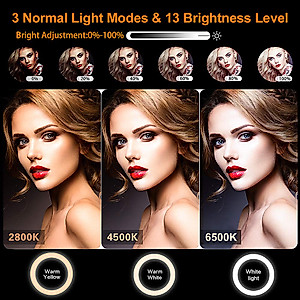 12.6'' Ring Light with Stand and Phone Holder: Totally 74" Tall Led Ringlight Tripod with 40 Color Modes, Floor and Desktop Stand with Circle Lights for iPhone Phone Makeup Video Meeting Live Stream