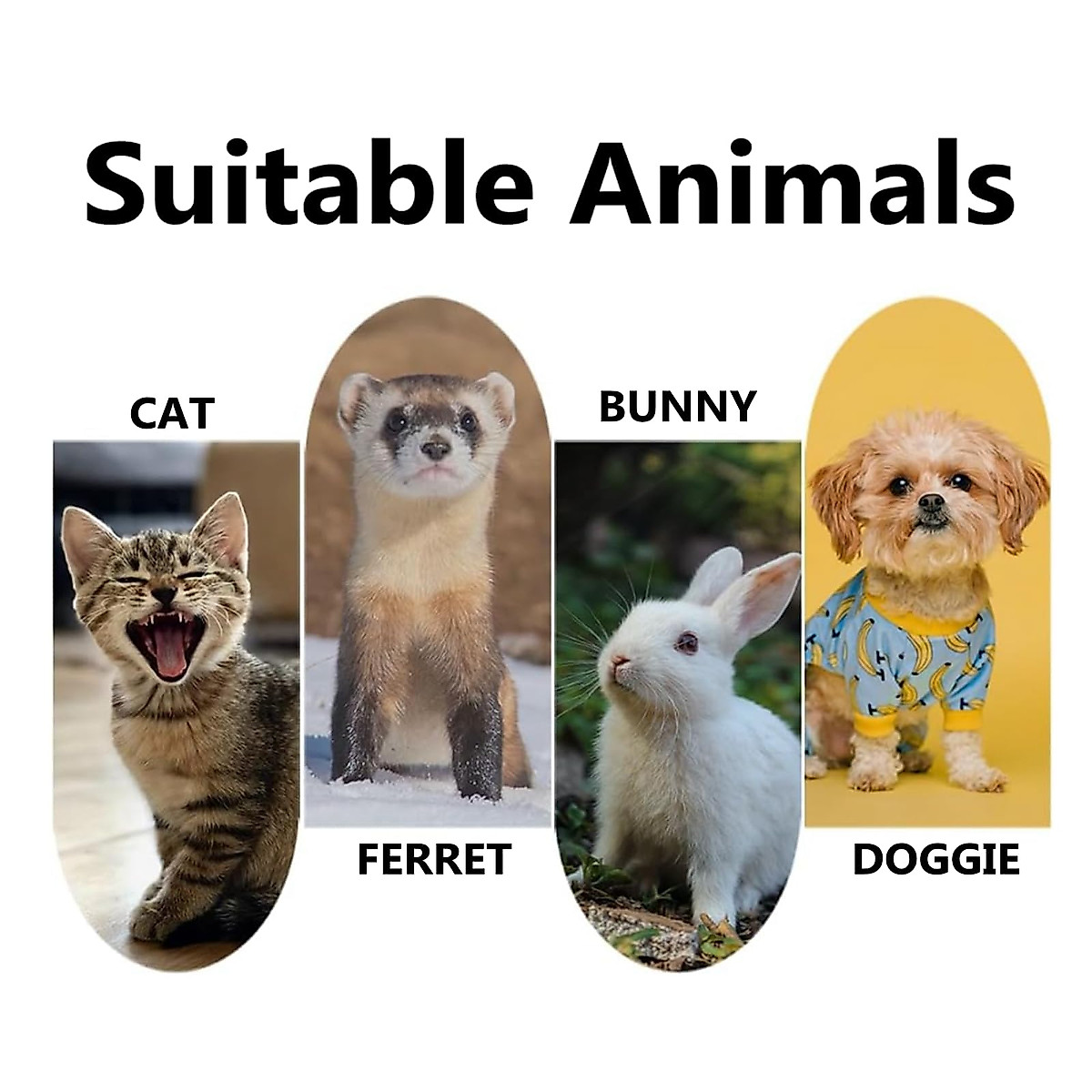 KUNBIUH 3Pcs Ferret Toys Ball Set - Colorful Bouncy Rubber Balls with Built-in Bell Ferret Cat Teeth Grinding Wiggle Ball Interactive Sound Toy Exercise Scratch Chew Toys for Indoor Small Animals