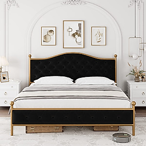 HIFIT Luxury Queen Size Platform Bed Frame with Elegant Button Tufted Curved Headboard, Velvet Upholstered Bed Frame with No Noise, Heavy Duty Metal Frame Foundation, No Box Spring Needed, Gold-Black