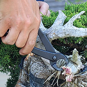 Wazakura Hanafubuki Hand Forged Bonsai Tree Trunk Splitter, Made in Japan 8.25inch(210mm), Branch Cutter Japanese Garden Tool - 8.25inch(210mm), Black