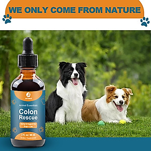 Colon Rescue Herbal Support for Dogs & Cats,100% Organic Grade Herbs, Healthy Gastrointestinal Tract,Constipation & Diarrhea and Gas Home Remedy,Digestive Gut Flora Herbal Formula for Dogs & Cats