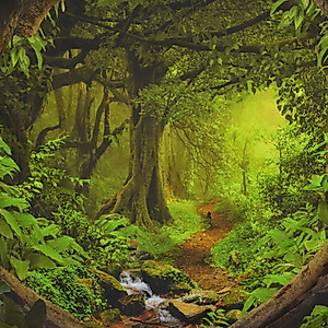 Tushelia Forest Tapestry Nature Tree Cave Tapestry Wall Hanging Misty Forest Tapestry Stream Through Rainforest Tapestry Landscape Wall Tapestry Jungle Creek Psychedelic Tapestry for Living Room