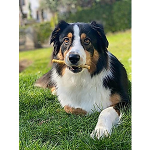 Fieldcrest Farms Nothing to Hide Natural Rawhide Alternative Twist Stix for Dogs - 3 Pack Bundle & Magnet (Chicken, Beef, Peanut Butter) Premium Easily Digestible Chews Great for Dental Health