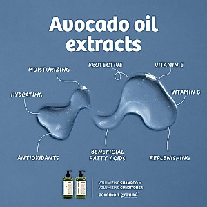 Common Ground Volumizing Natural Shampoo and Conditioner Set, Paraben and Cruelty Free, Organic, Vegan, Plant-Based Ingredients, Botanical Scent and Avocado Oil Extract, for Men, Women