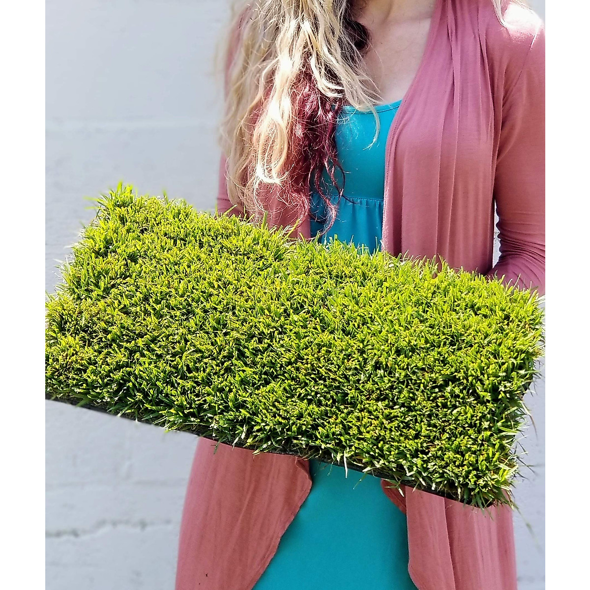 Zoysia Plugs - 50 Large Grass Plugs - Drought Tolerant, Low Maintenance EZPLug