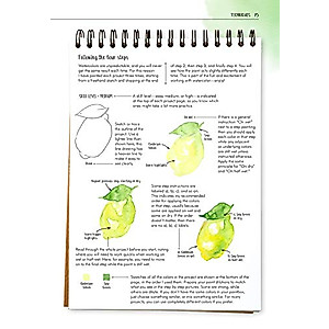 Watercolor Success in Four Steps: 150 Skill-Building Projects to Paint (Design Originals) Beginner-Friendly Step-by-Step Instructions & Techniques to Create Beautiful Paintings as Easy as 1-2-3-4