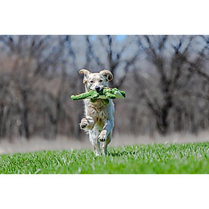 Fluff & Tuff Georgia Gator