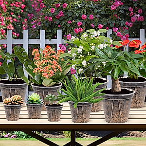 20Pack 4/5/6/7 inch Clear Nursery Pots with 20 Drip Trays 50Pcs Plant Labels, Plastic Reinforced Gardening Pots with Drainage Holes, Assorted Nursery Pots for Plants Succulent Vegetable Flowers