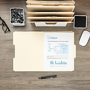 Smead Manila File Folder, 1/3-Cut Tab, Letter Size, Manila, 100 per Box