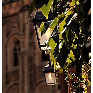 Dusk to Dawn LED Lights Bulb,Photocell Sensor Bulb, Auto Turn On/Off, ST58 ST19 60W Edison Replacement, E26 8W 800lm,Warm White 2700K for outdoor wall light fixture Garden Garage Porch Pack of 2