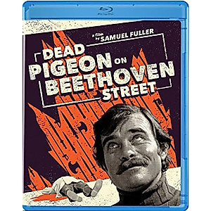 Dead Pigeon On Beethoven Street