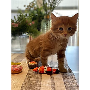 H&K Cat Toy | Clownfish | Plush Cat Toy with Catnip Inside | Funny Realistic Cat Gift | Fun, Durable, and Safe | Huxley & Kent Cat Toys