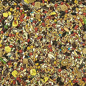 Kaytee Fiesta Cockatiel Food 25 lb