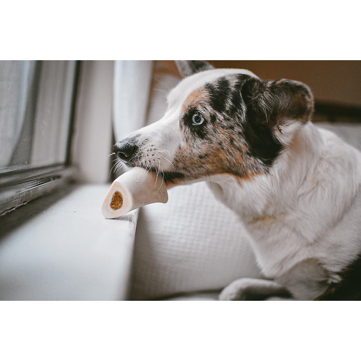 Cadet Stuffed Shin Bones - Highly Digestible, High Protein, Long-Lasting Dog Chew Bone for Aggressive Chewers, Supports Dental Health, - Peanut Butter Flavor, Small (3 Count)