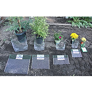 RootGuardTM The Original Heavy Duty Gopher Wire Baskets (24 Mini (Quart Size) Baskets)