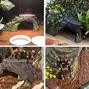 Hamiledyi Reptile Hideout Cave,Resin Simulation Rock Hideout Terrarium Habitat Decortion for Lizards Geckos Chameleons Frogs Turtles Snakes
