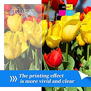 Coloner 4 Pack Compatible Toner Cartridge for Dell 2150, 2155 (Black:331-0719 Cyan:331-0716 Magenta:331-0717 Yellow:331-0718) Compatible with Dell 2150, 2150cdn, 2150cn, 2155cdn, 2155cn Printer