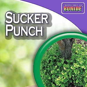 Bonide Sucker Punch, 16 oz Ready-to-Use Spray, Control Unwanted Plant Sprouts, Plant Growth Regulator for Home Garden