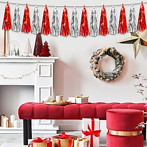 6P Foil Fringe Metallic Tassel Streamers Banner Tassel Garland for Parade Floats, Bachelorette, Wedding, Birthday, Halloween, Christmas, Bridal/Baby Shower Party Decorations (RedSilver)