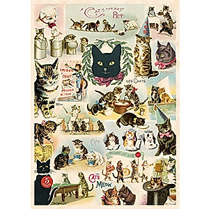 Cavallini Decorative Wrap Poster Cat, 20 x 28 inch Italian Archival Paper (WRAP/CAT)