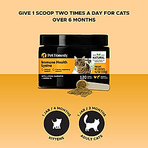 PetHonesty Immune Health Lysine - Supplement Powder for Cats - Immune Health, Cat Allergy Relief - Sneezing, Runny Nose, Watery Eyes - Cats & Kittens of All Ages - Omega 3s, L-Lysine - Chicken & Fish
