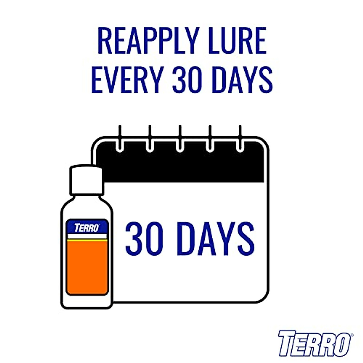 TERRO T3220 Refillable Spider & Insect Trap Attracts Pests with Hydro-tech Lure – Includes 2 Traps & 8 Glue Boards , Brown