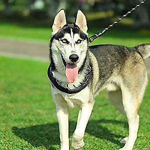 CBBPET Dog Prong Collar, Adjustable Dog Training Collar with Quick Release Buckle for Small Medium Large Dogs