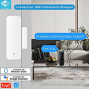 WiFi Door Sensor, Tuya Smart Door Window Sensor, Smart Window Sensor Real-time Alarm Compatible with Alexa Google Assistant,Home Security Door Open Contact Sensor for Business Burglar Alert (1 Pack)