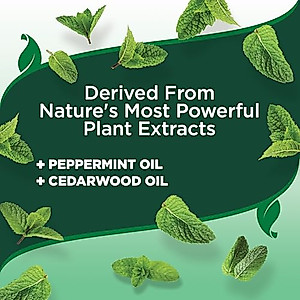 Vet's Best Flea and Tick Repellent Collar for Dogs - Flea and Tick Prevention for Dogs - Plant-Based Ingredients - Small to Large Dog Flea Collar - Up to 20” Neck Size