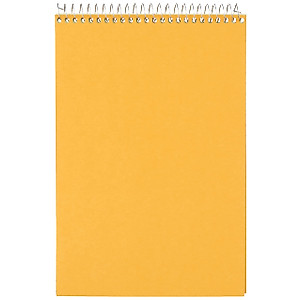 National Brand Steno Notebook with Brown Board Cover, Green Eye-Ease Paper, Gregg Ruled, 6" x 9", 12 Notebooks with 60 Sheets Each (36646-12)