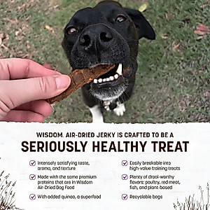 Earth Animal Wisdom Air-Dried Jerky Turkey Recipe | Dog Treats | Dog Snacks | Premium Natural Turkey Jerky Strips | 4 oz | Dog Treats Made in The USA (Pack of 1)