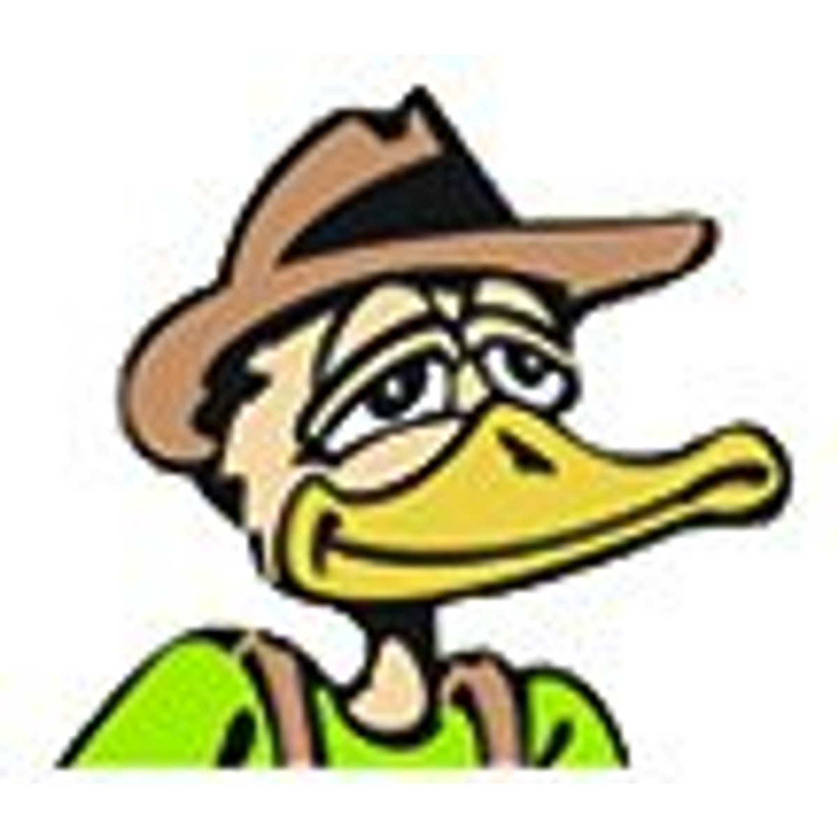 THE PRACTICAL BANJO CHORD and FRETBOARD CHART