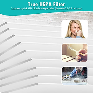 DerBlue 2PCS True HEPA Replacement Filter Compatible with PuroAir 240 Puri-fier,3-in-1 True HEPA Filter Replacement Model 14