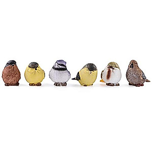 Sanbege Bird Statues, Bird Figurine Home Decor, Bird Sculpture for Garden, Birdhouse, Bird Theme Decor, Set of 6