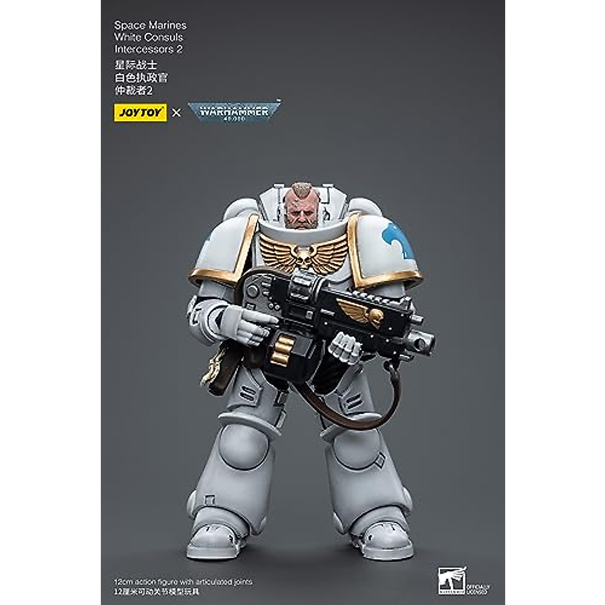 JoyToy Warhammer 40K: Space Marines White Consuls Intercessors 2 1:18 Scale Action Figure