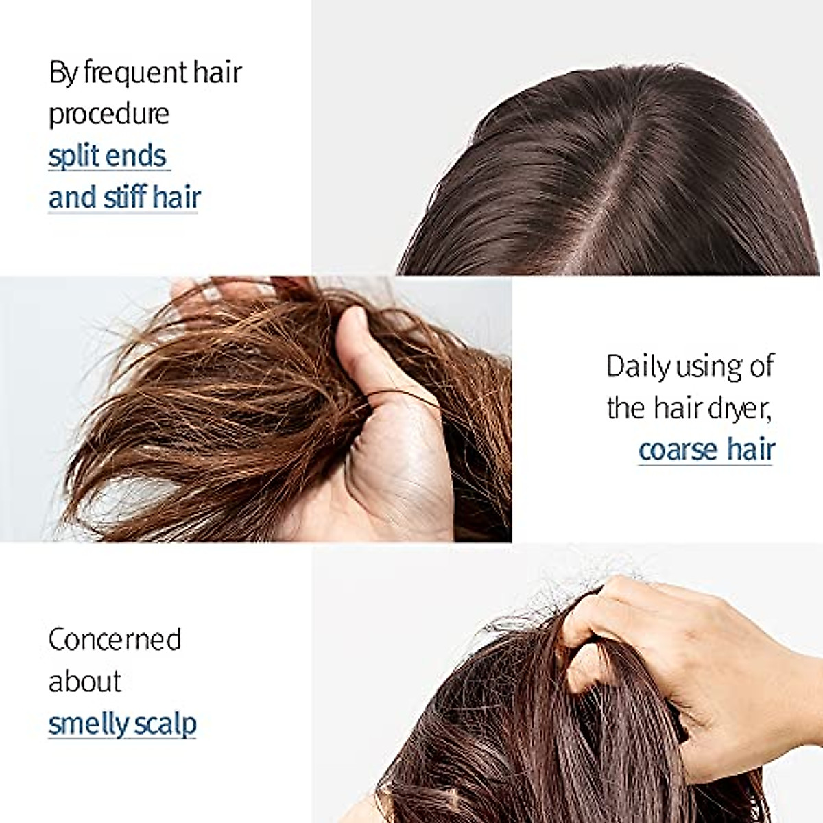 Bouquet Garni Shampoo Pink Grapefruit - Long Lasting Fragrance Dry Hair Moisturizing - Scalp Moisturizer and Cleansing with Natural Surfactant - Nutritious Amino, Protein, Natural Oil - 16.9 Fl Oz