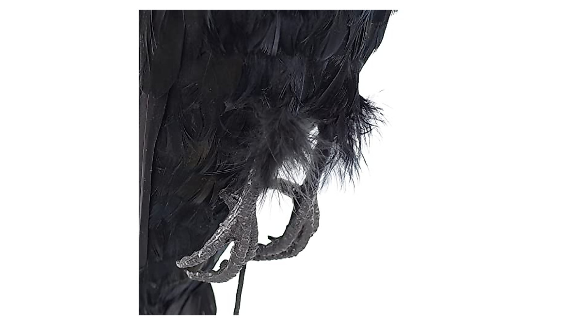 Etistta 17" Realistic Dead Crow Decoy | Outdoor Bird Control