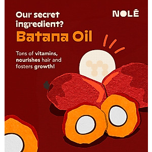 NOLE CARE Rosemary Mint Shampoo Bar With Batana Oil - Rice Protein Shampoo, For Hair Growth, Anti-Dandruff Formula, Sulfate-Free, Sustainable, Plastic-Free Packaging - 3 oz Bar