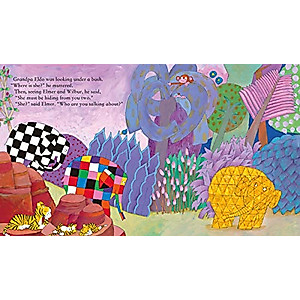 Elmer and Rose (Elmer Picture Books)