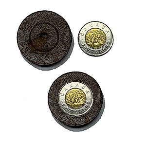 Jiffy 7 Peat Pellets 36 MM Seed Starting Plugs, Seeds Starter. Start Plant Seedlings Early (Pack of 50)