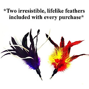 Pet Fit For Life Cat Wand Toy - Irresistible Cat Flirt Pole - Ultimate Feather Teaser for Indoor Cats - Safe & Durable for Interactive Play